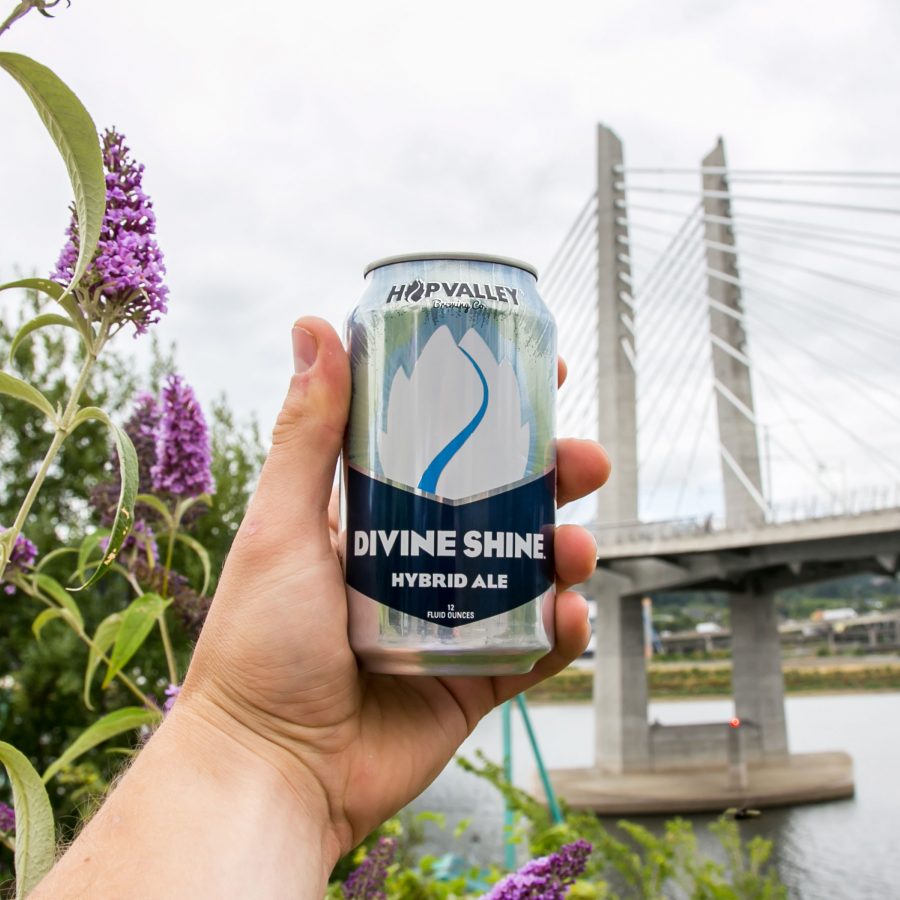 Divine Shine | Plaid Pantry